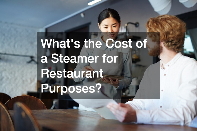 Whats the Cost of a Steamer for Restaurant Purposes? - My Mom Recipe